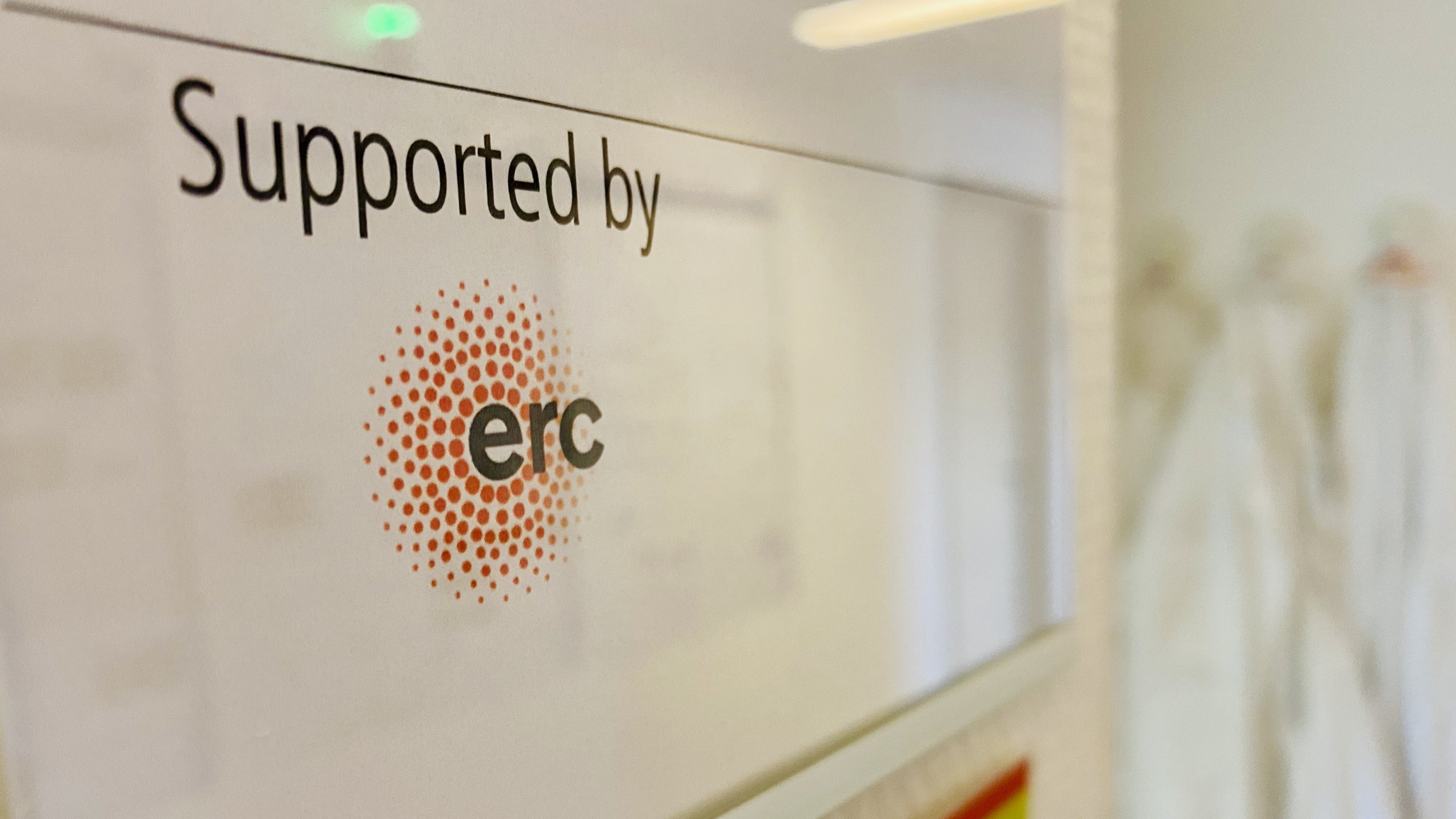 Medizinische Hochschule Hannover : AG Lachmann