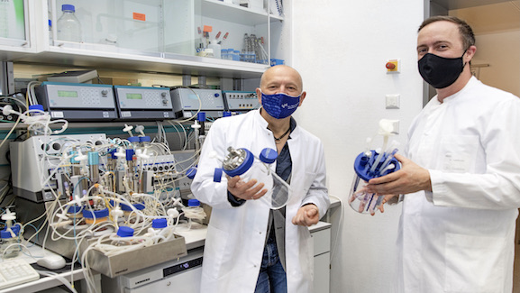 Medizinische Hochschule Hannover : AG Lachmann